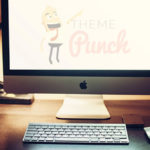 The Pro Work Solution – Firmus Labs